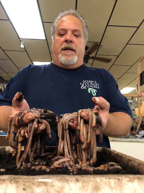 How to Raise Your Own Nightcrawlers: DIY Live Bait - USAngler
