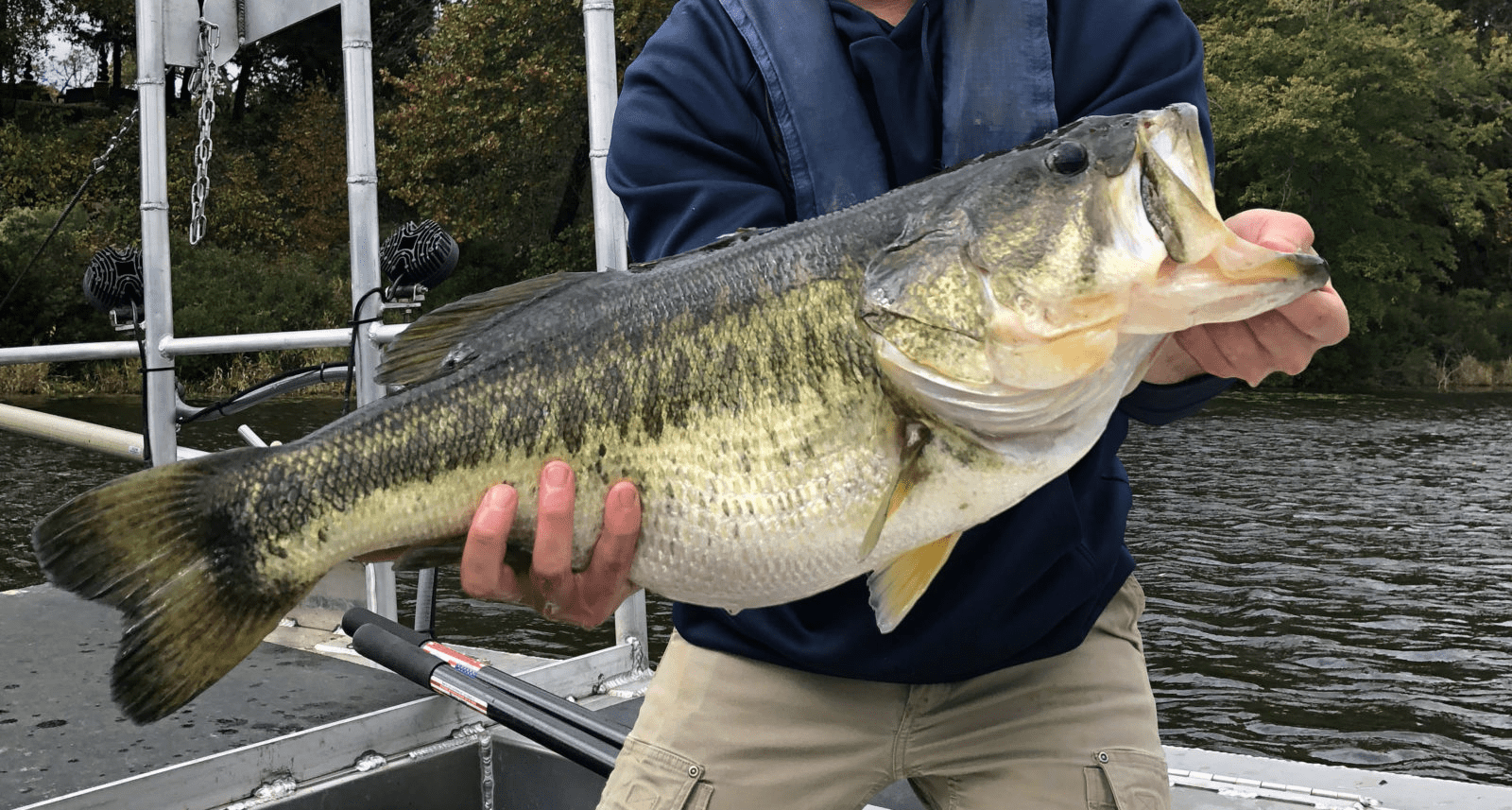 How to Hold a Bass: The Right Technique Explained - USAngler
