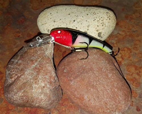 Fishing Walleye from Shore: Tips to Guarantee Your Success - USAngler