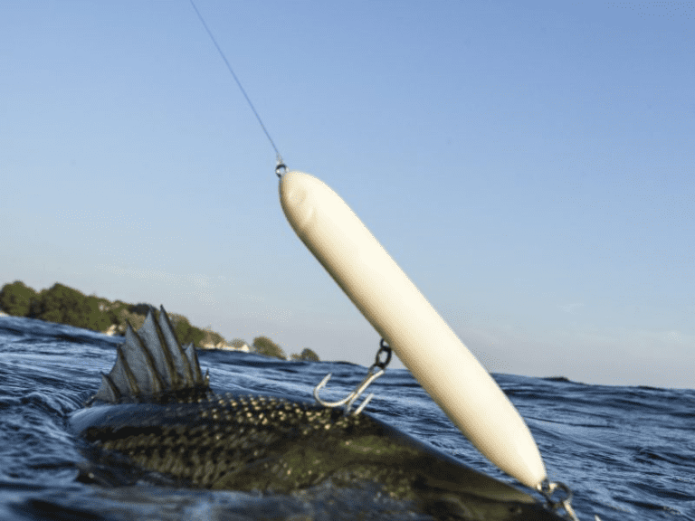 Is Snagging Fish Legal? - USAngler