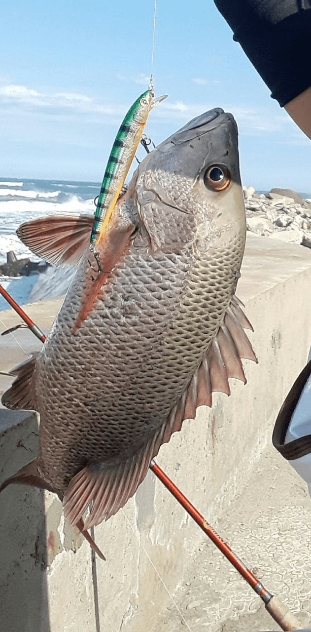 Is Snagging Fish Legal? - USAngler