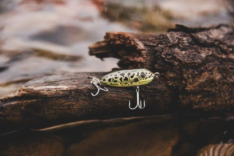 How to Rig and Fish a Topwater Lure: A Guide for New Anglers - USAngler