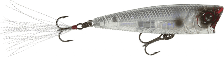 How to Rig and Fish a Popper: The Basics Explained for New Anglers ...