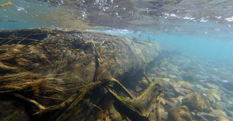 How to Find a Good Fishing Spot: A Guide for New Anglers - USAngler