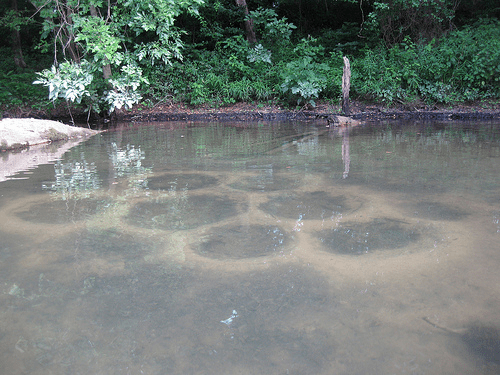 How to Find a Good Fishing Spot: A Guide for New Anglers - USAngler