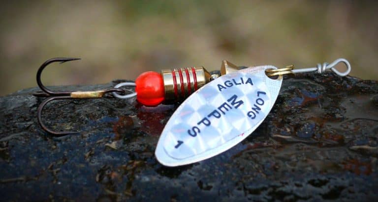 How to Rig and Fish a Rooster Tail: Everything You Need to Know - USAngler