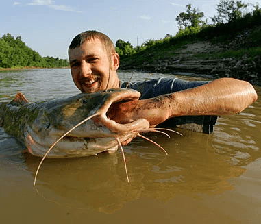 Do Fish Bite? - All You Need To Know For The Most Common Species - USAngler
