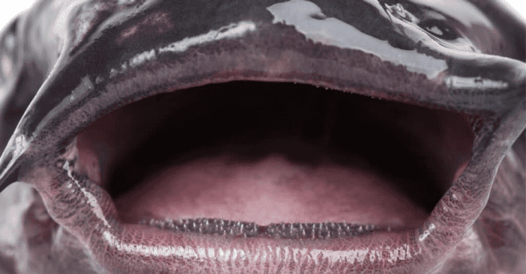 Do Fish Bite? - All You Need To Know For The Most Common Species - USAngler