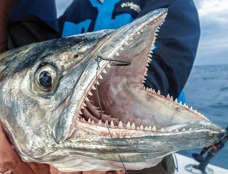 Do Fish Bite? - All You Need To Know For The Most Common Species - USAngler