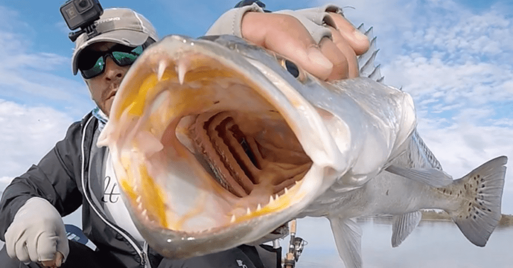 Do Fish Bite? - All You Need To Know For The Most Common Species - USAngler