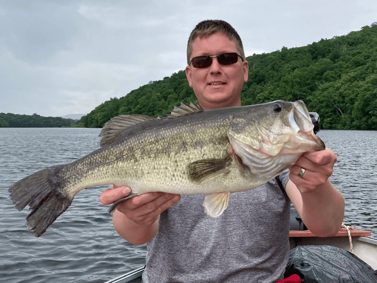 Largemouth Bass: Identification, Behavior Basics, and Best Lures and ...