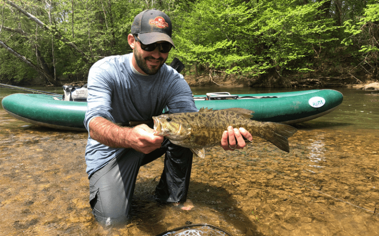 Smallmouth Bass Basics: Everything You Need to Know - USAngler