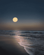 Full-Moon Fishing: Myths, Science, and Tips to Tilt the Odds in Your ...