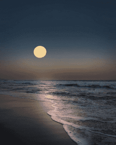 Full-Moon Fishing: Myths, Science, and Tips to Tilt the Odds in Your ...