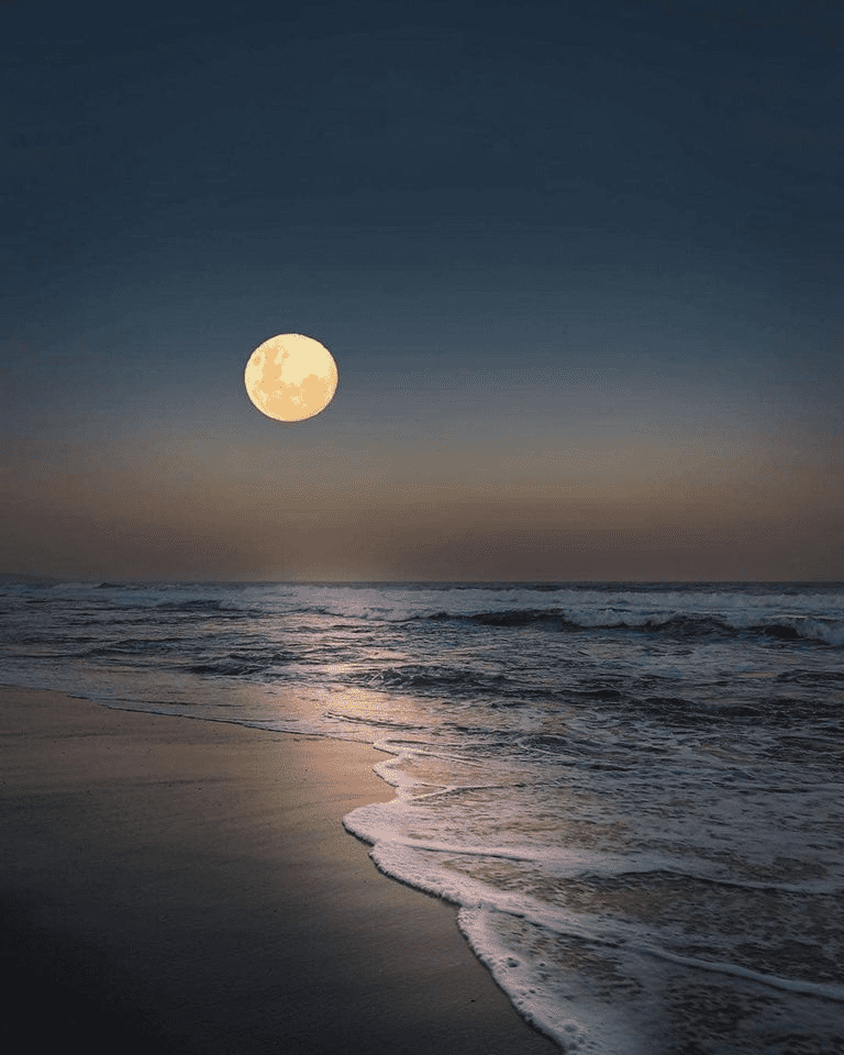 Full-Moon Fishing: Myths, Science, and Tips to Tilt the Odds in Your ...