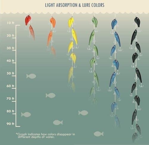 The Best Color Whopper Plopper: Every Situation Covered! - USAngler
