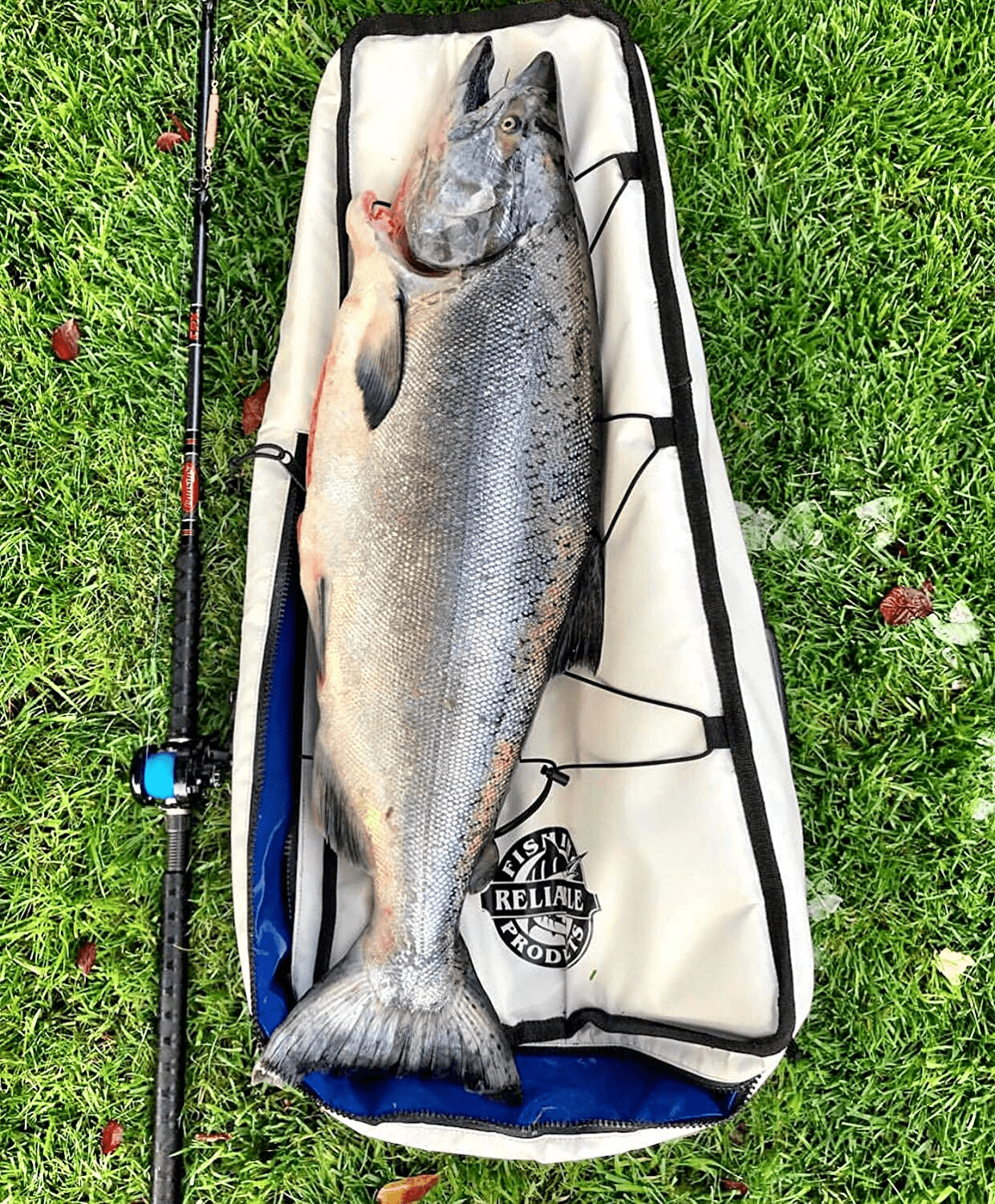 How to Store Fish on a Kayak: Good Options vs. Bad Choices - USAngler