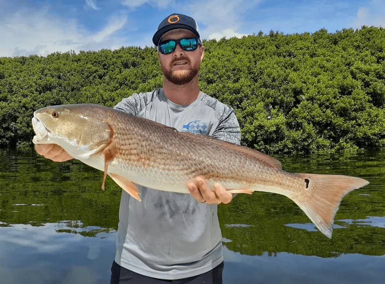 Best Hooks for Redfish: Style and Size Considered - USAngler