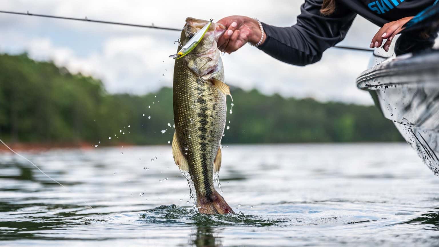 Best Rod and Reel Combos for Bass: Baitcasting and Spinning Options ...