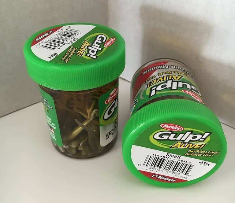 The Best Trout Bait: 6 Must Have Baits For Chasing Trout in 2025 - USAngler