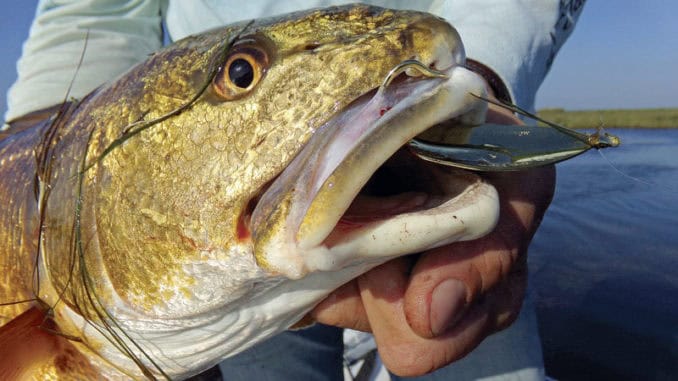 Best Spoons For Fishing: Options For Every Species - USAngler