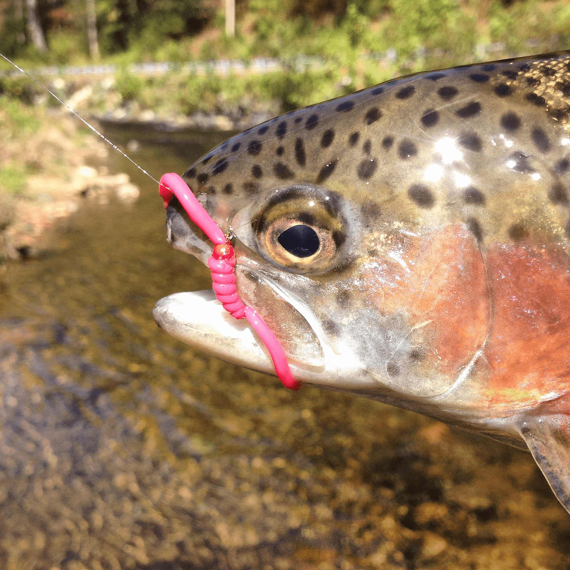 Hook Selection for Trout Fishing: The Best Size and Style Hooks for ...