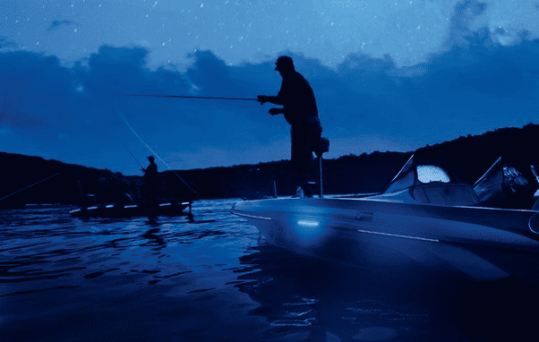 The Best Times to Fish: Everything You Need to Know - USAngler