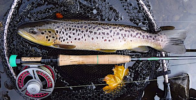 The Best Euro-Nymphing Fly Rods Reviewed: Long, Light, and Ultra ...