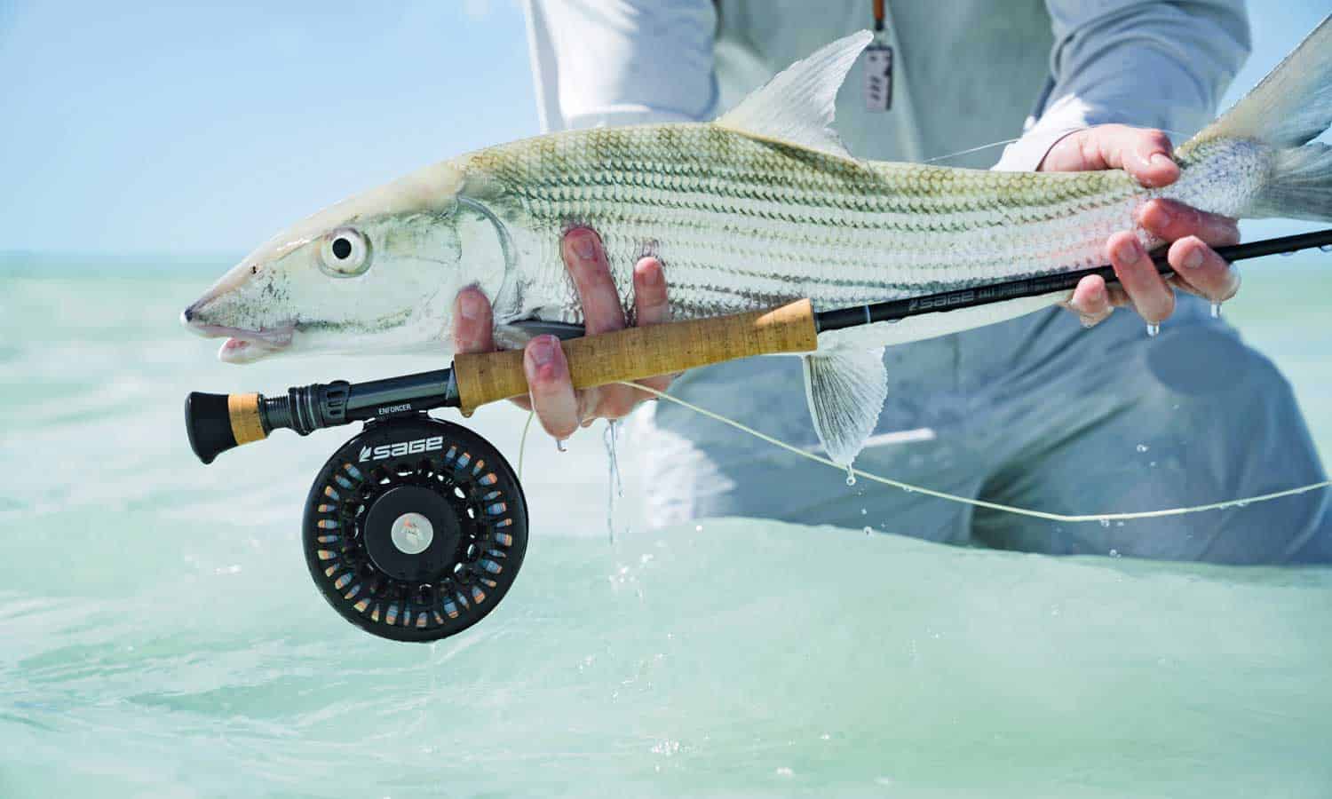 Best Salmon Rods: Our Picks for 2025 - USAngler
