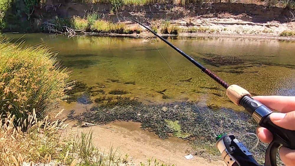 Best Ugly Stik Rods: Unbeatable Durability and Surprising Performance ...