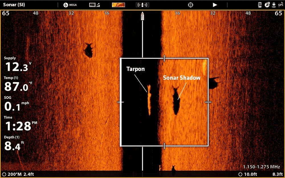 Down-Imaging vs. Side-Imaging: Are You Getting the Most from Your ...