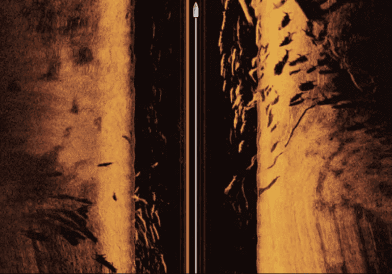 Down-Imaging vs. Side-Imaging: Are You Getting the Most from Your ...