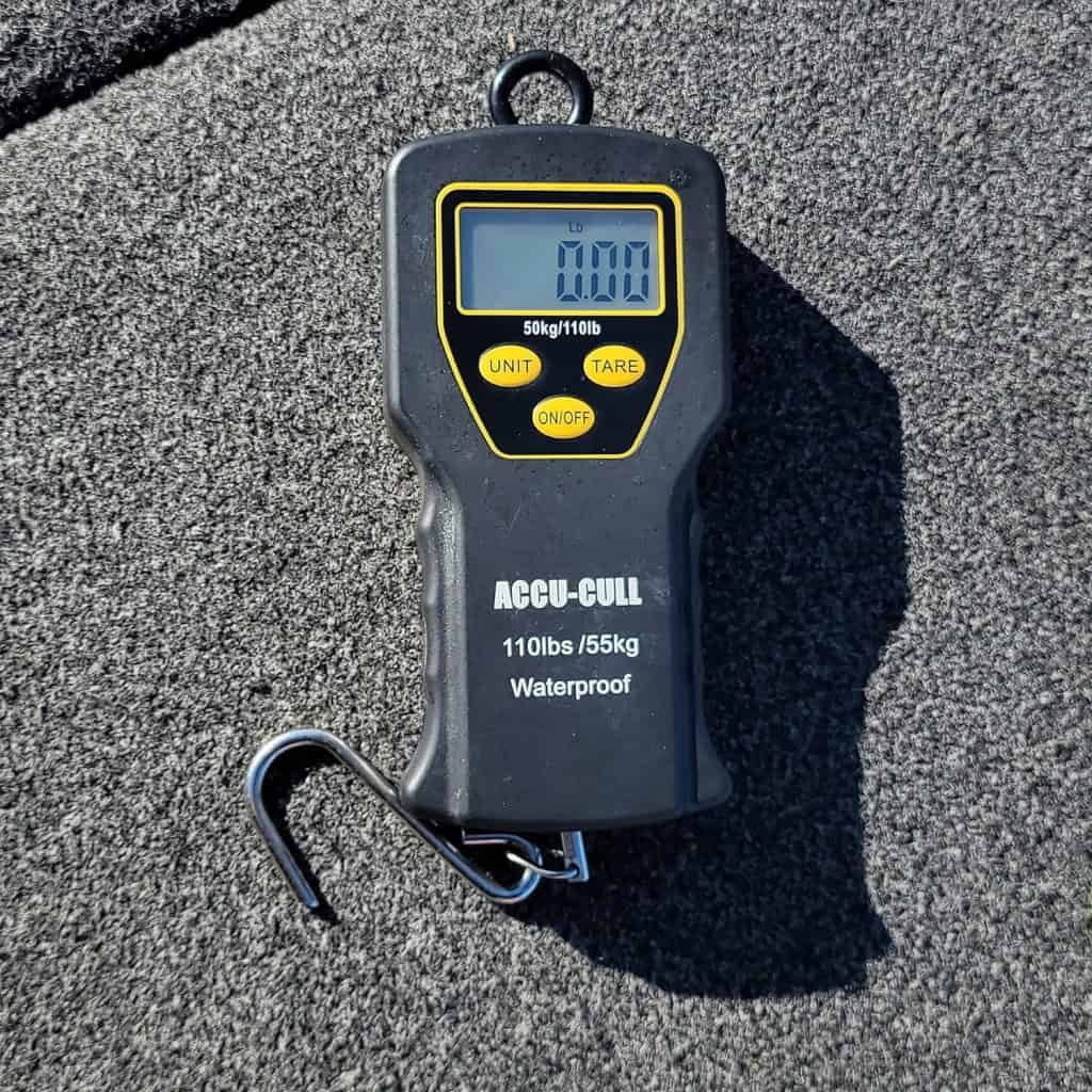 Weighing the Pros and Cons of Fish Scales: The Best Fish Weighing ...