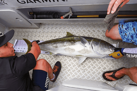 Why and How to Measure Fish: Everything You Need to Know to Preserve ...