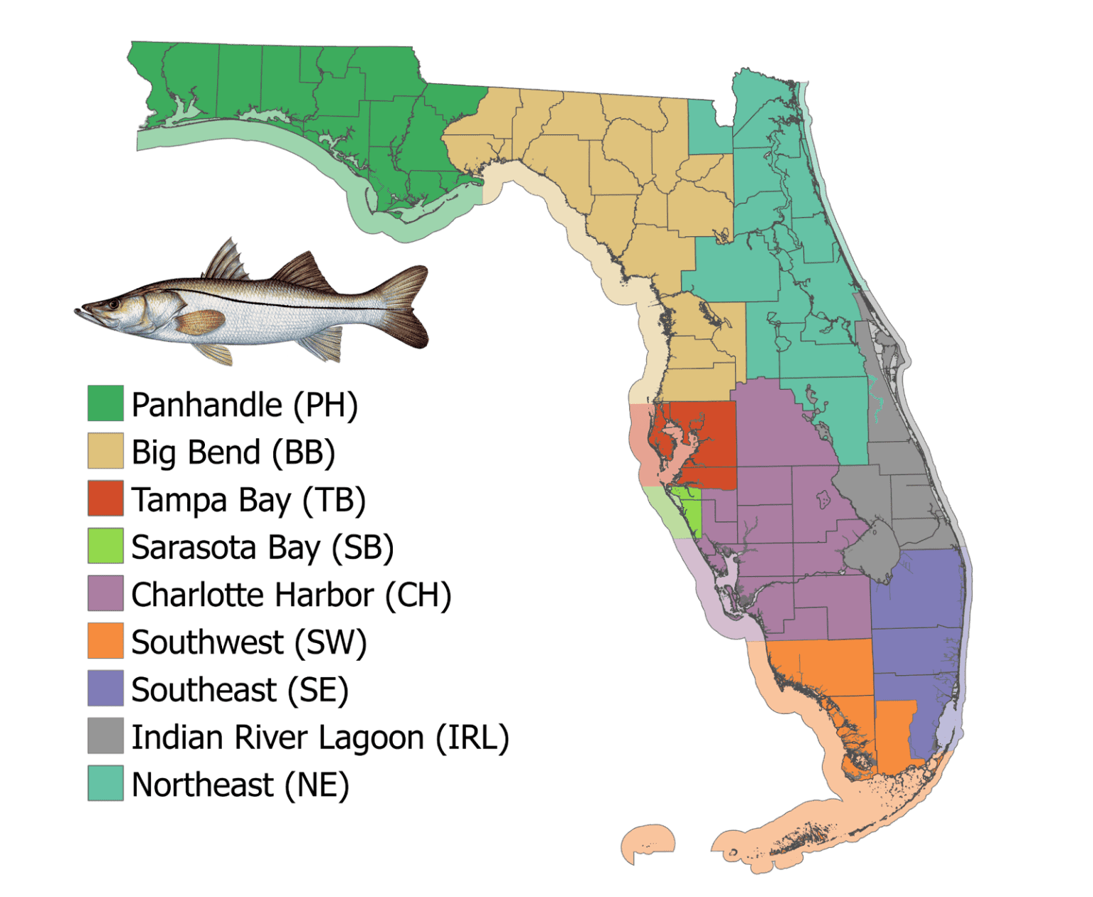 Why and How to Measure Fish: Everything You Need to Know to Preserve ...