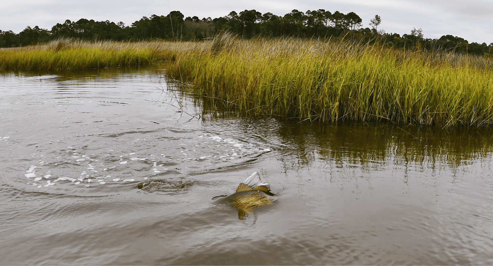 Best Lures for Redfish: What You Need to Know - USAngler