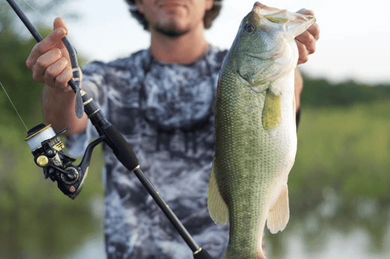 Right- or Left-Handed Fishing Reels: Which Is Right for You? - USAngler