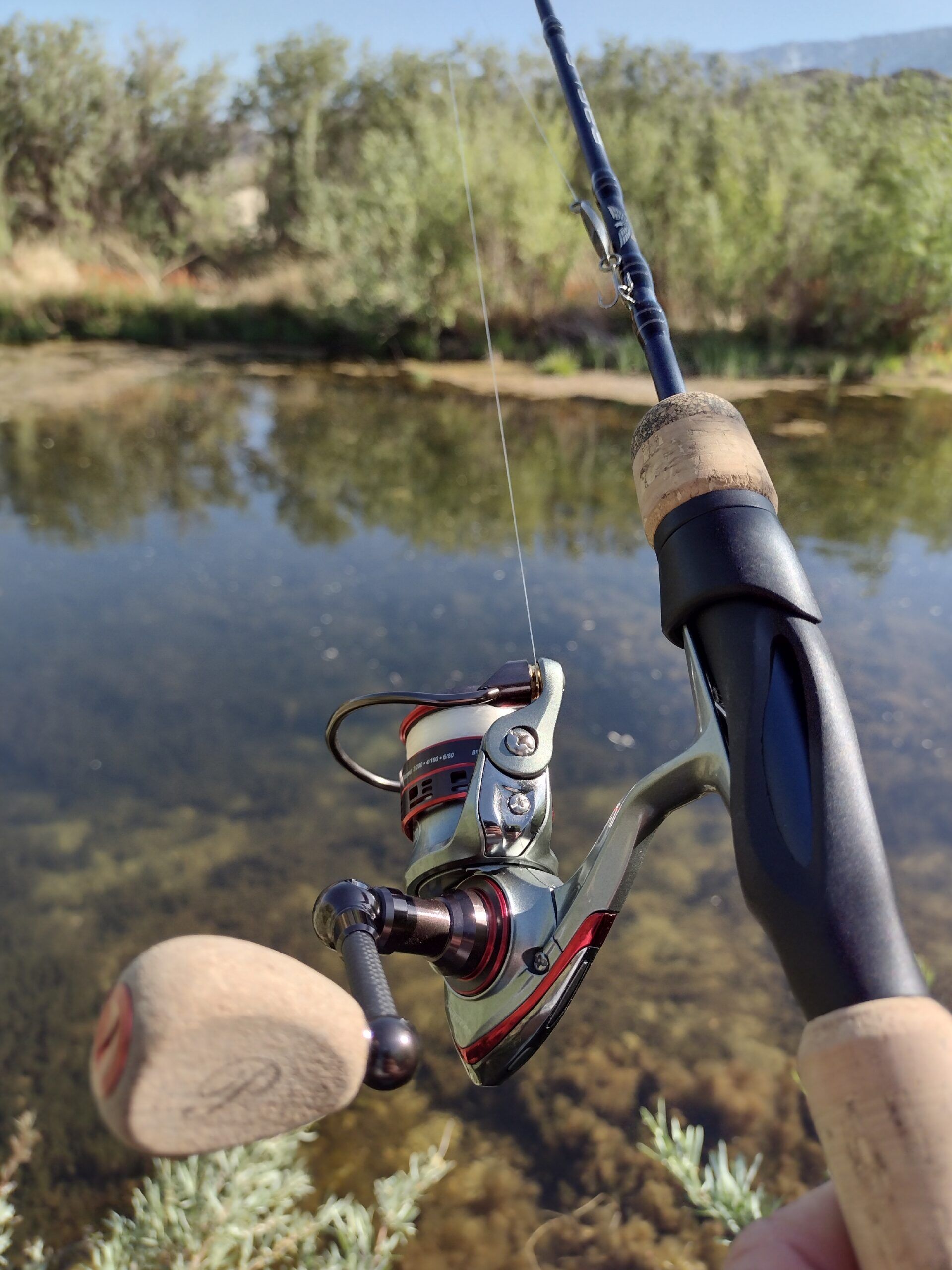 Pflueger President XT Review: Is It a Worthy Upgrade? - USAngler