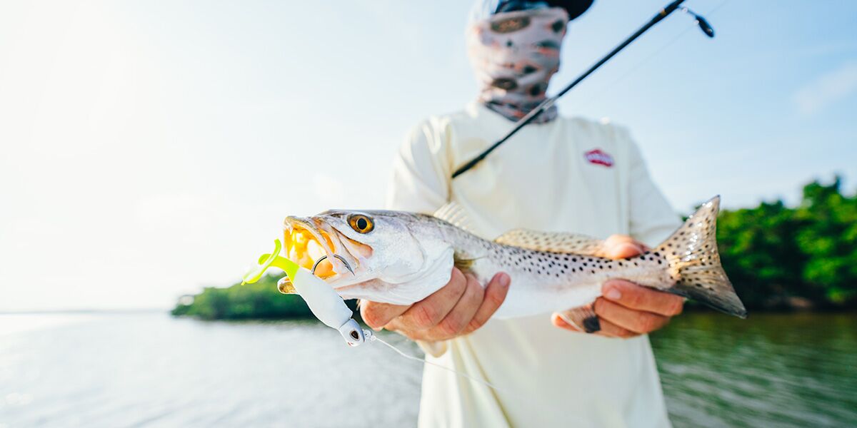 Best Rod And Reel Combo For Redfish And Speckled Trout - USAngler