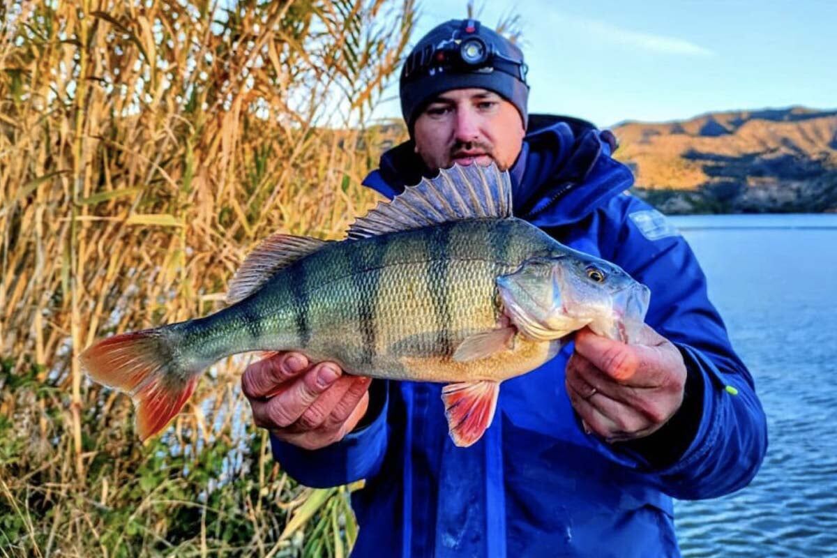 Perch Fishing Tips and Techniques Guaranteed to Increase Your Odds in 2025
